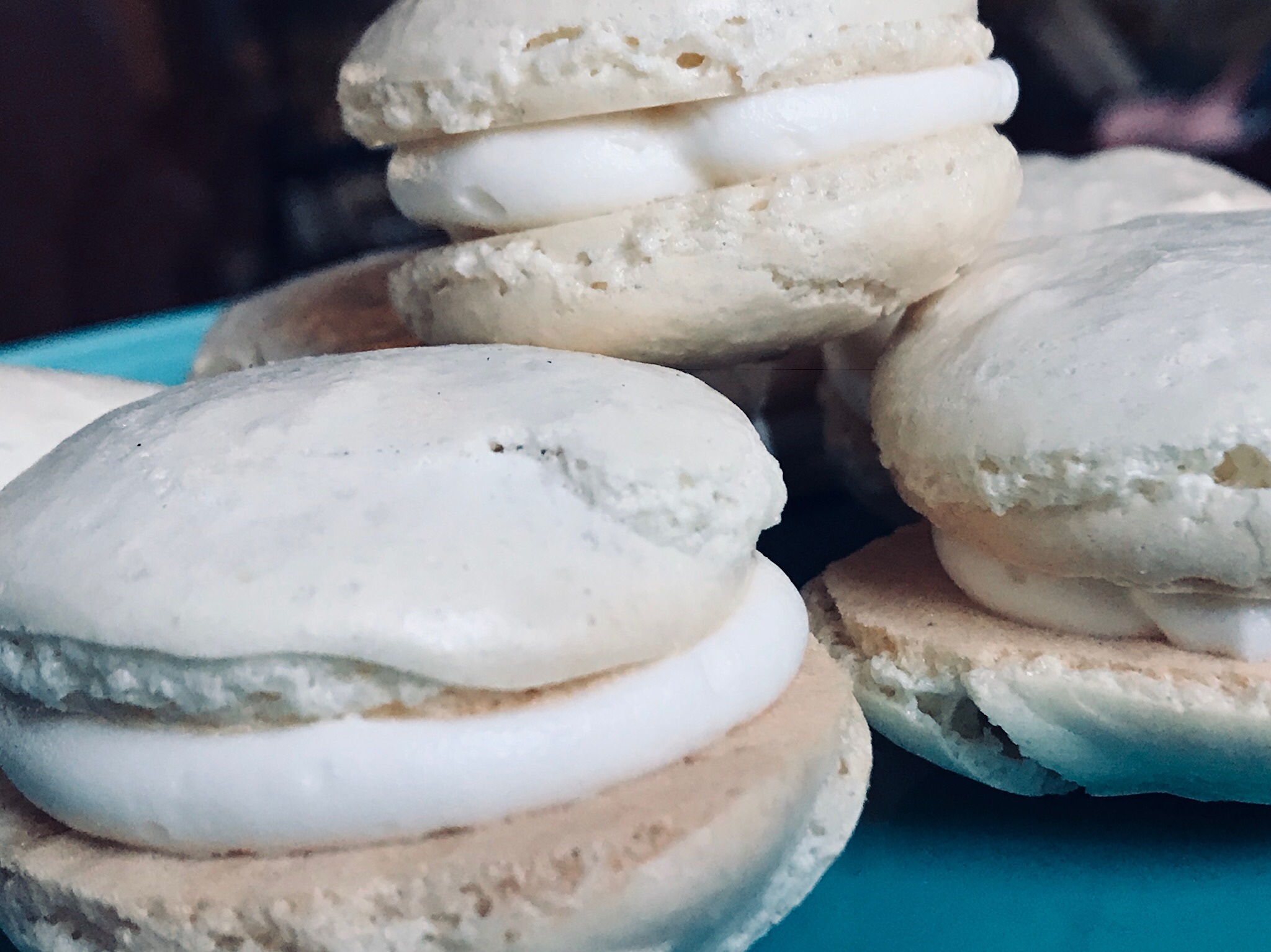 The First Macarons of the Year – Ann Art Gallery Blog
